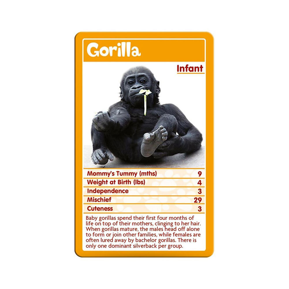 Top Trumps Who's The Cutest Baby Animal Cards - Online | KG Electronic