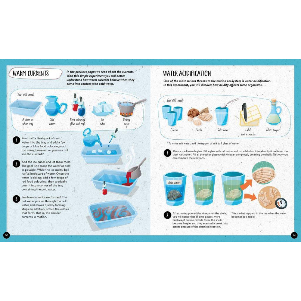 Sassi Book & Poster Kids/Children Learning What How & Why The Sea 6y ...
