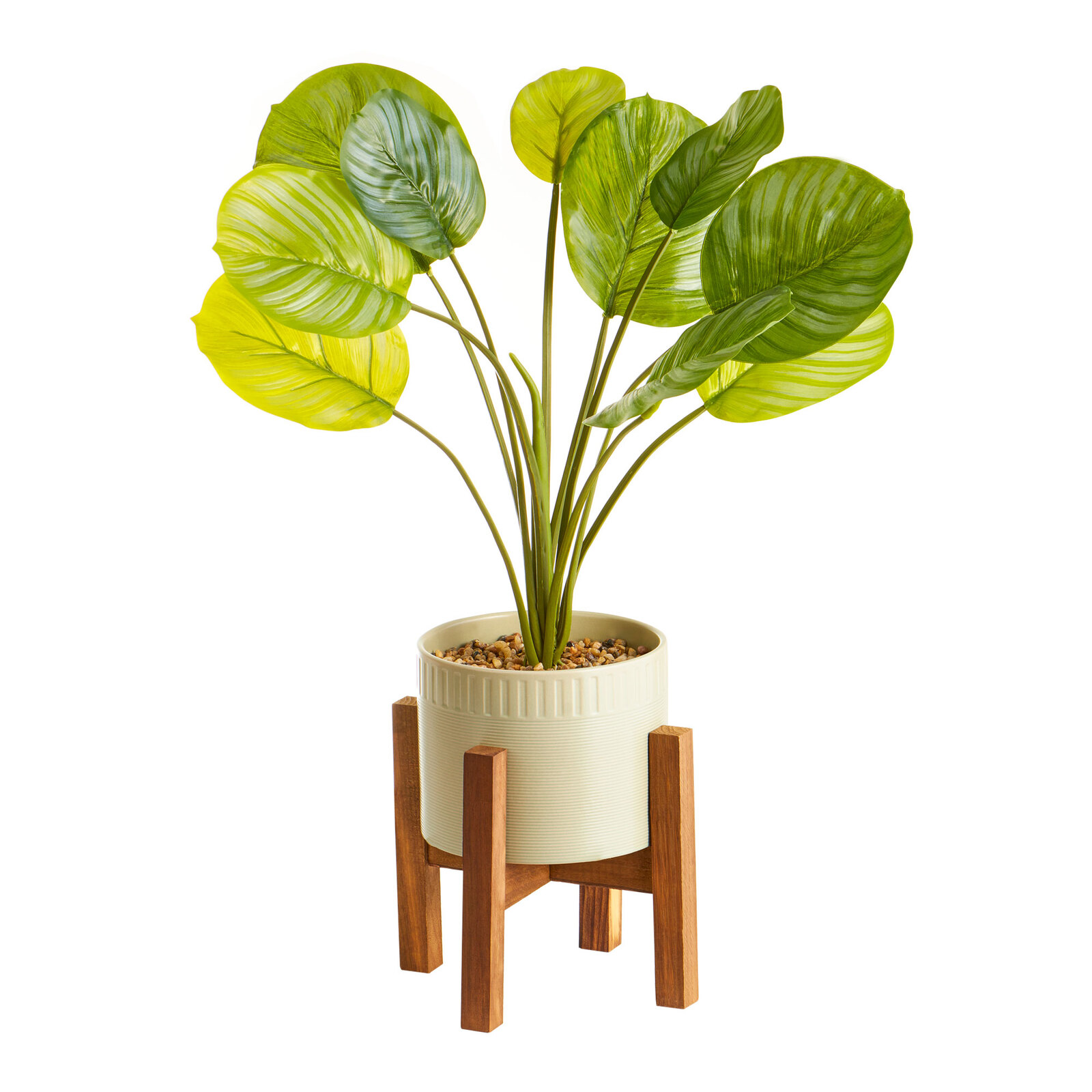 Cooper & Co. Artificial Taro Plant In Ceramic Pot 75cm - Online | KG ...