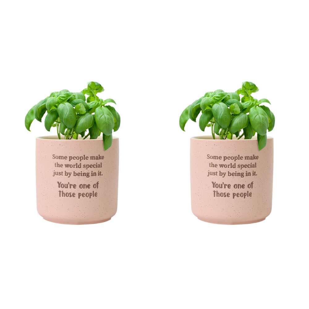 2PK Splosh Special Positive Ceramic Plant Pot 10x10cm - Pink - Online ...