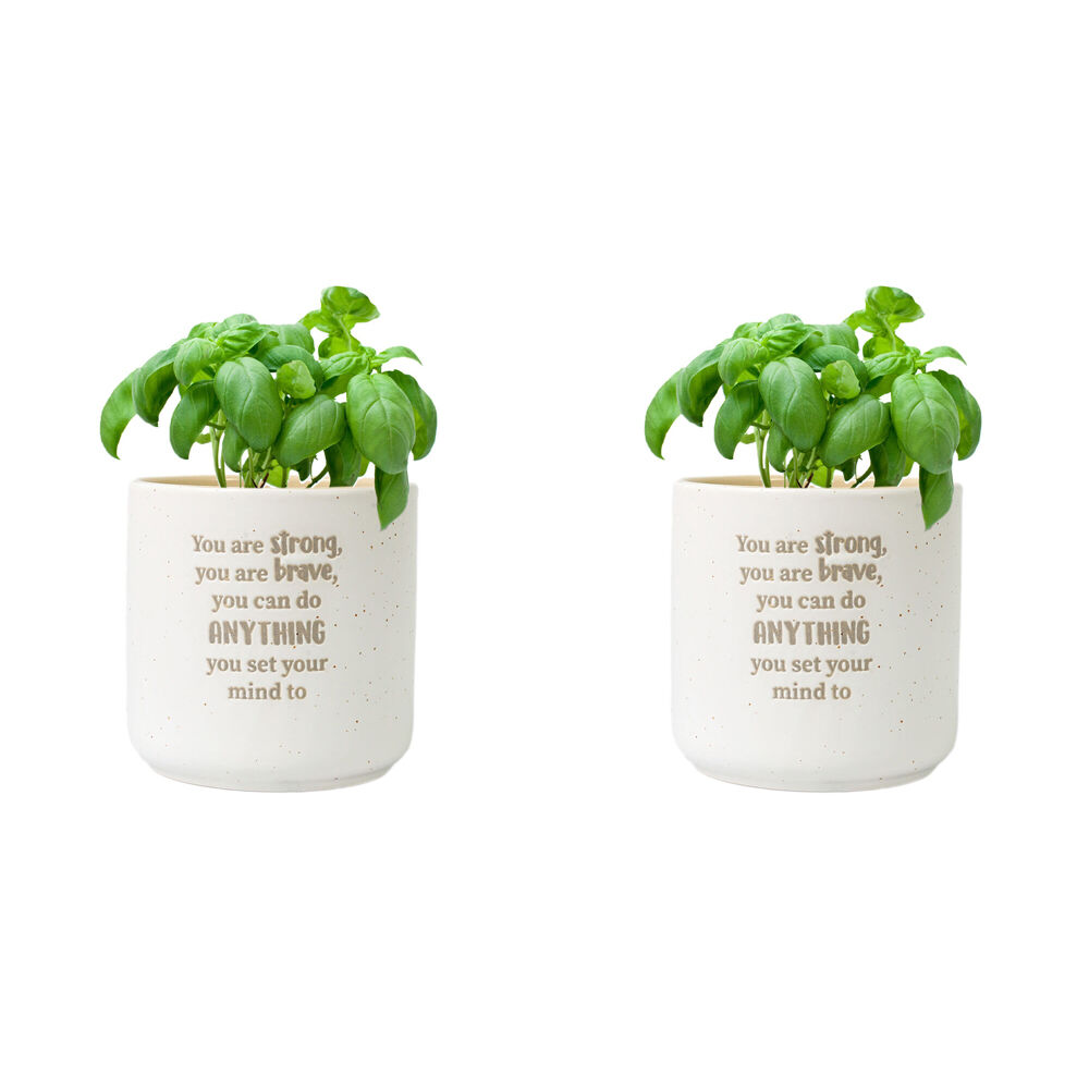 2PK Splosh Strong Positive Ceramic Plant Pot 10x10cm - White - Online ...