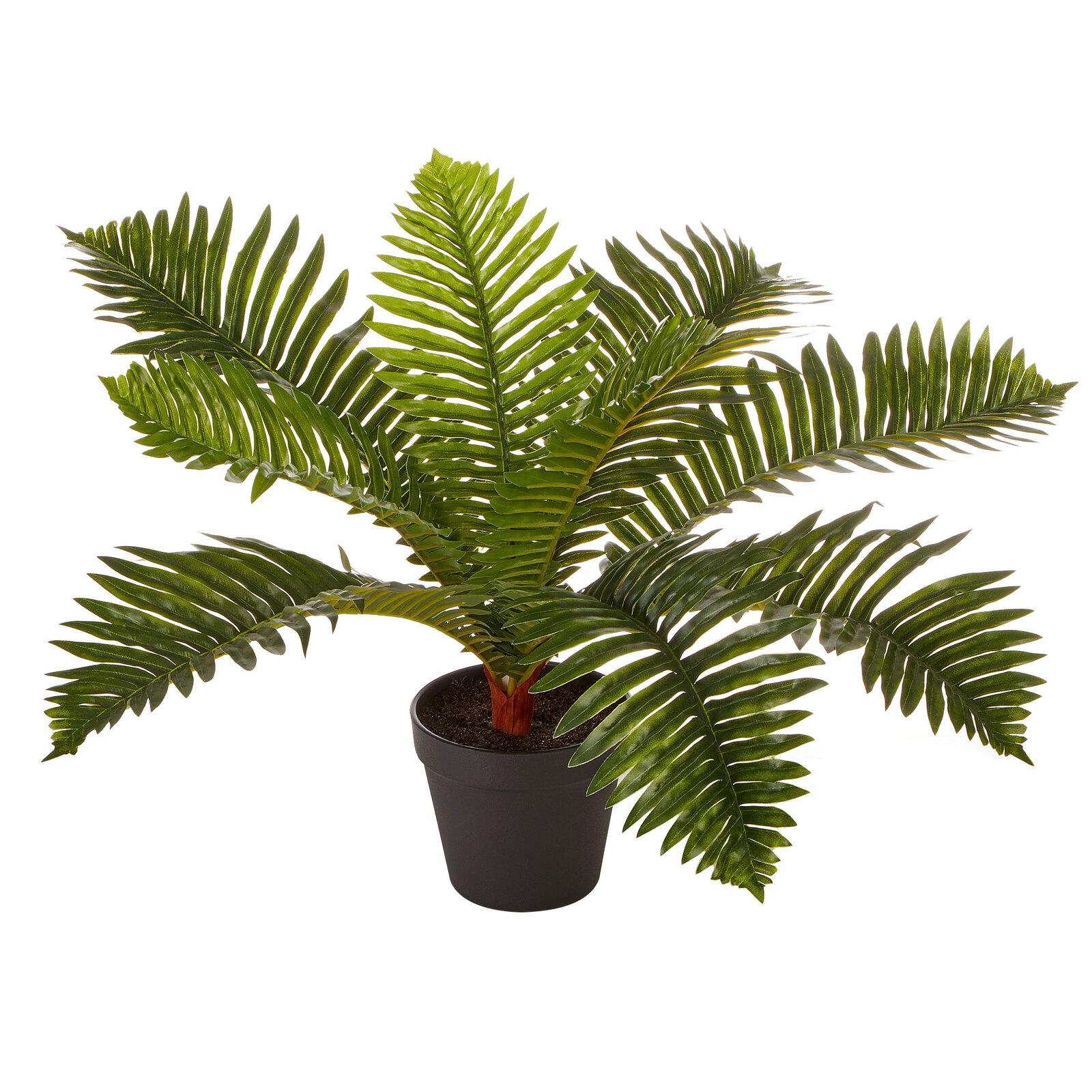 Cooper & Co. Artificial Indoor Decorative Fern Plant 45cm - Online | KG ...